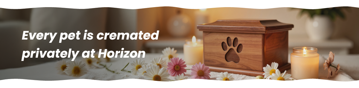 Private Pet Cremation Services in Phoenix | Horizon PCS